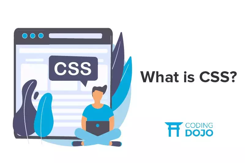 What Is CSS Coding Dojo What Is CSS Coding Dojo